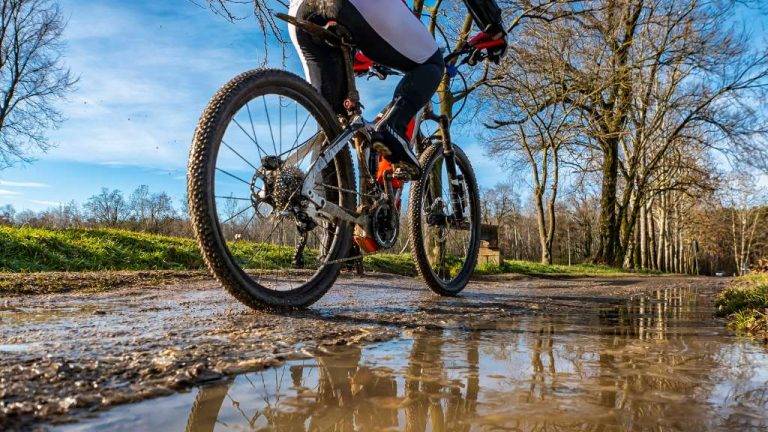 Descubra A Emoção Da Bicicleta De Trilha: Guia Completo Para Os ...